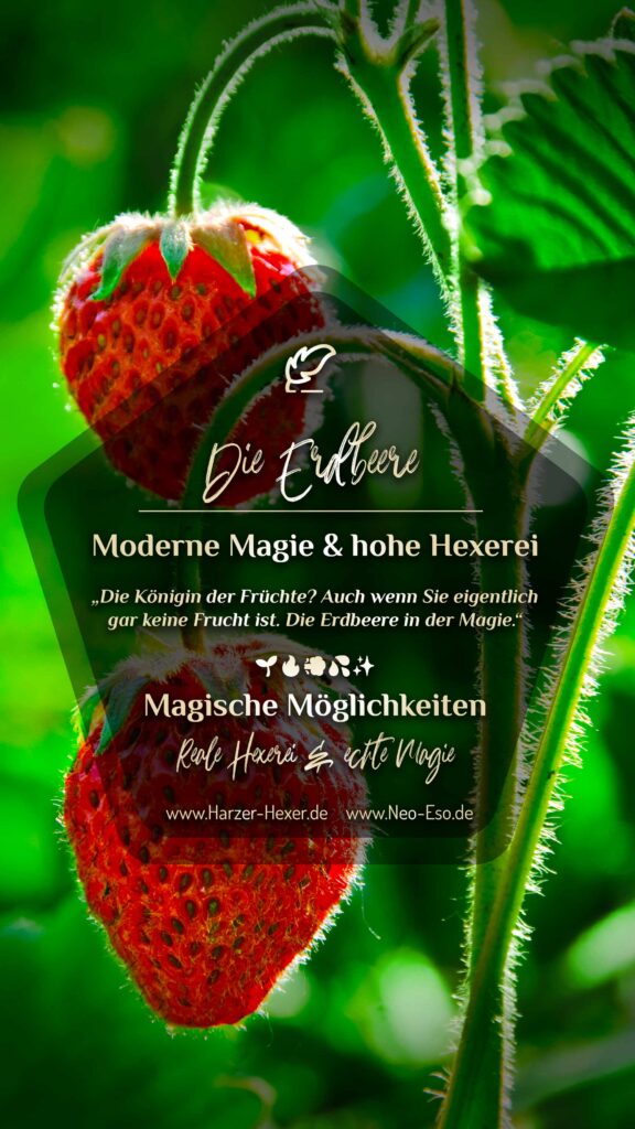 Die magische Erdbeere 🍓 Erdbeeren und Hexerei 🍓 der Zauber der Erdbeere - NEOeso® | Elementares ...